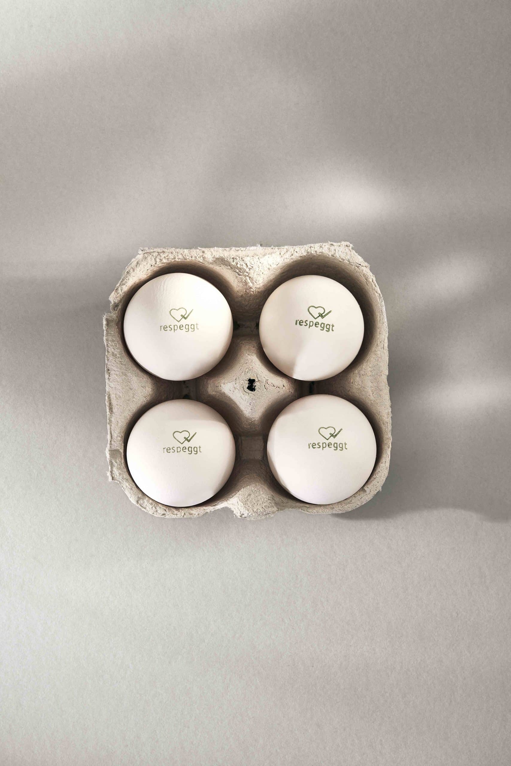 Ausstieg aus dem Kükentöten: In 2021 stellt REWE alle frischen Eier der ...