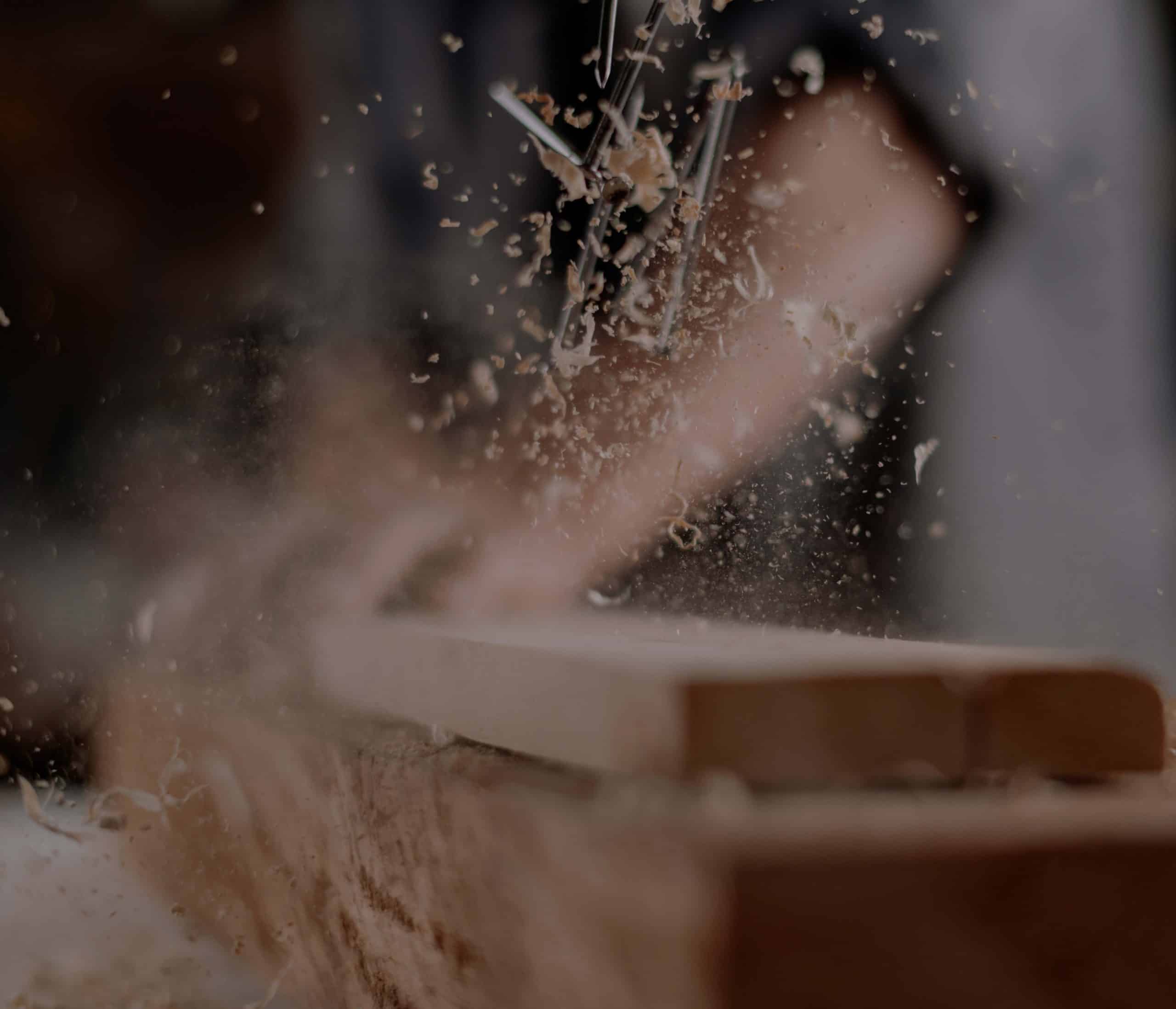 Structure and sales lines - REWE Group