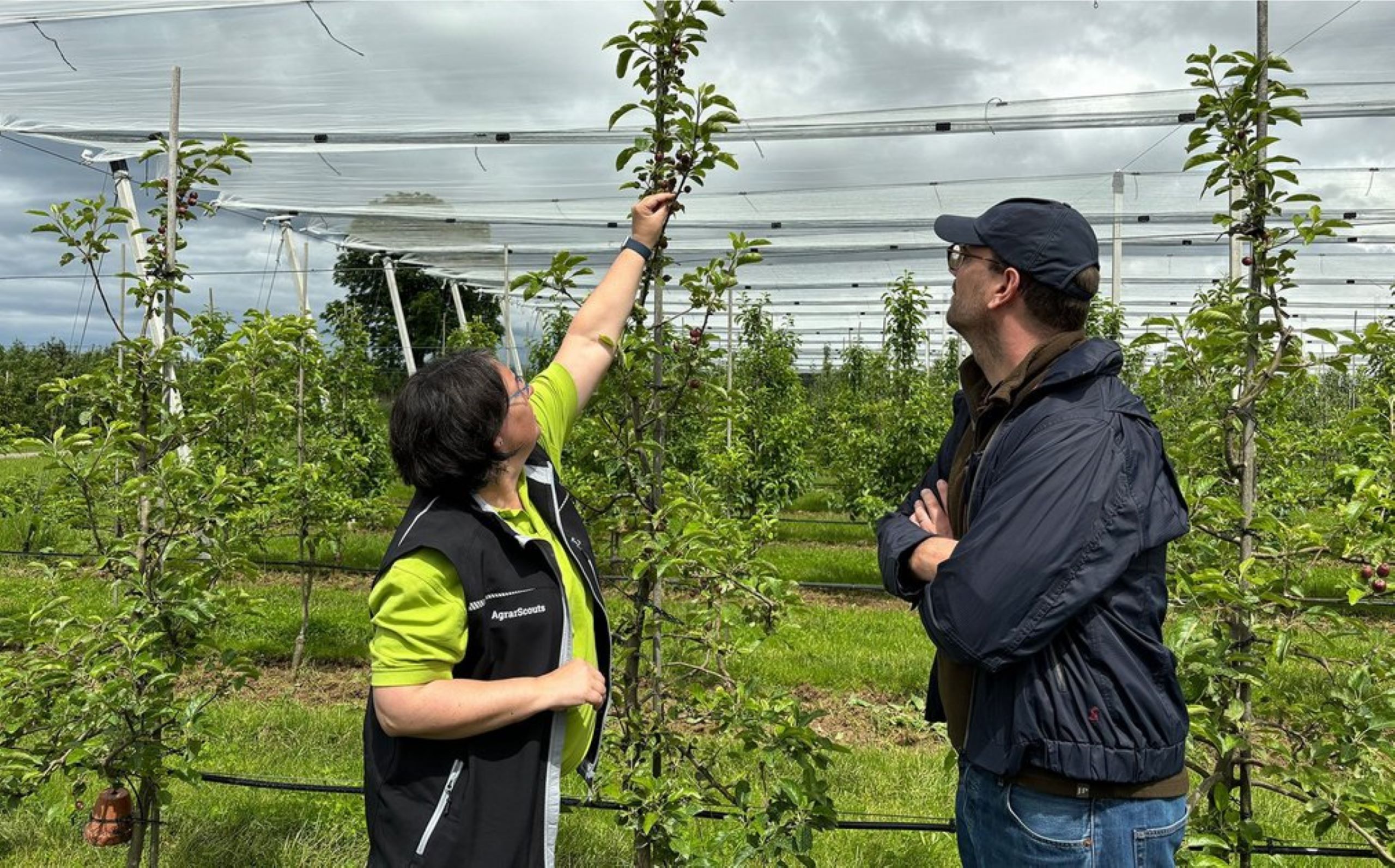 Landwirt:innen für einen Tag - REWE Group
