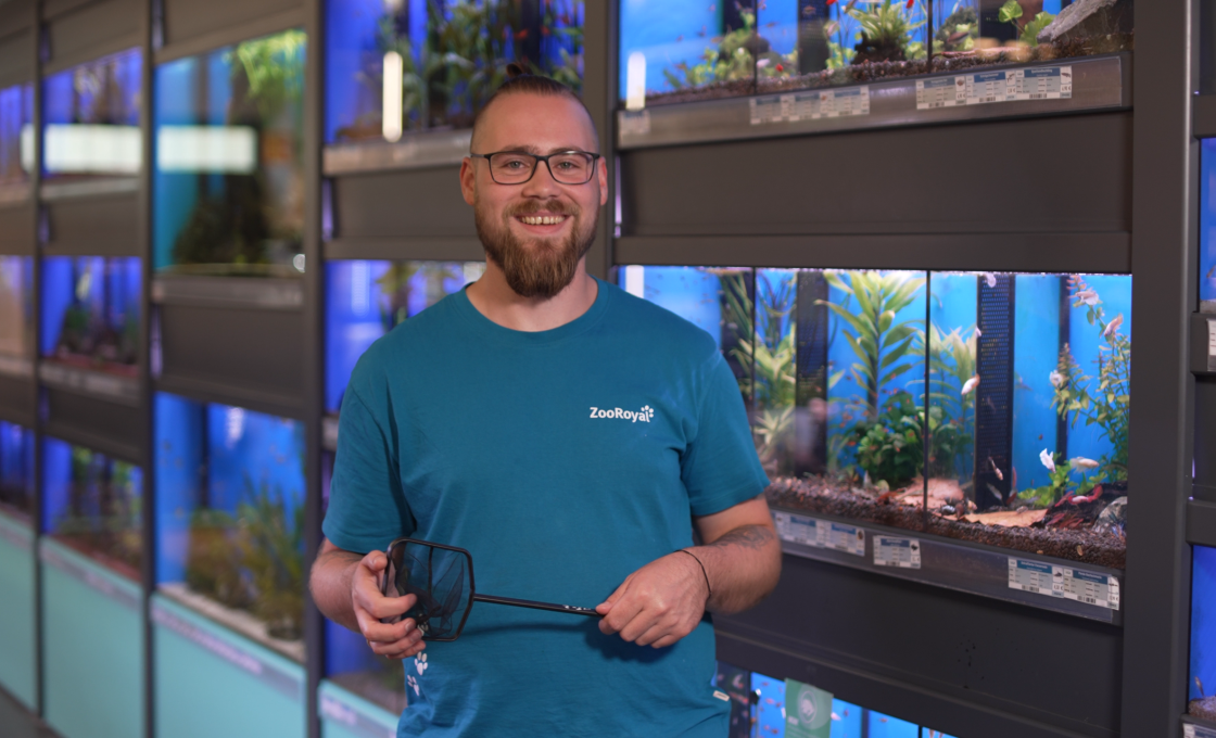 Tierisch tolle Traumberufe: Tim Heiler ist Aquarianer bei ZooRoyal ...